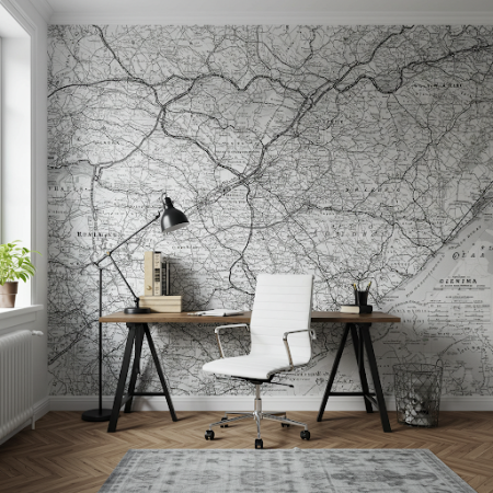 Custom map wallpaper - Interior Design Services